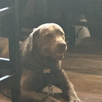 THE BEER JUNCTION - Updated October 2025 - 237 Photos & 314 Reviews ...