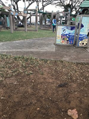 AIKAHI ELEMENTARY SCHOOL PLAYGROUND - 148 Photos & 44 Reviews - 281 ...