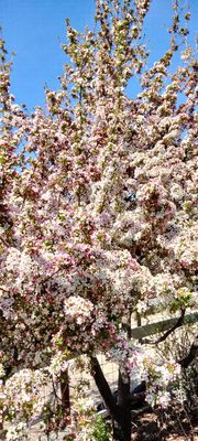 RIVER SCHOOL FARM - Updated October 2024 - 39 Photos & 11 Reviews ...