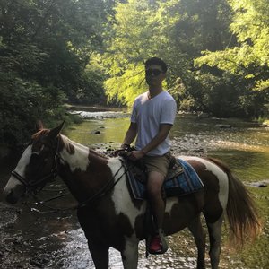 SHEEDER MILL FARM - 87 Photos & 43 Reviews - 12 Sheeder Mill Rd, Spring ...