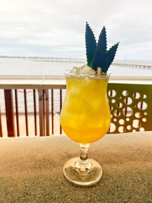 WATERFRONT - 76 Photos & 74 Reviews - 131 SW Flagler Ave, Stuart ...