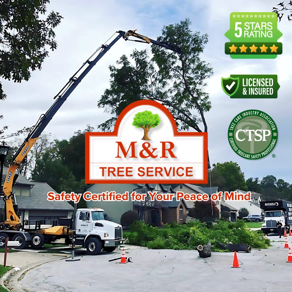 M R Tree Service Updated October 2025 17 Photos 12 Reviews 2406