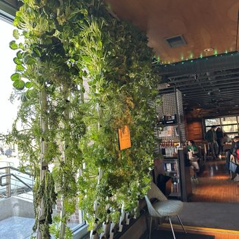 ROOT DOWN - Updated March 2025 - 2892 Photos & 4093 Reviews - 1600 W ...