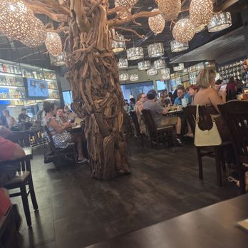 AZTECA D’ORO WESLEY CHAPEL - Updated December 2025 - 282 Photos & 161 ...