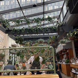 TERRA - Updated January 2026 - 1363 Photos & 688 Reviews - 800 Boylston ...
