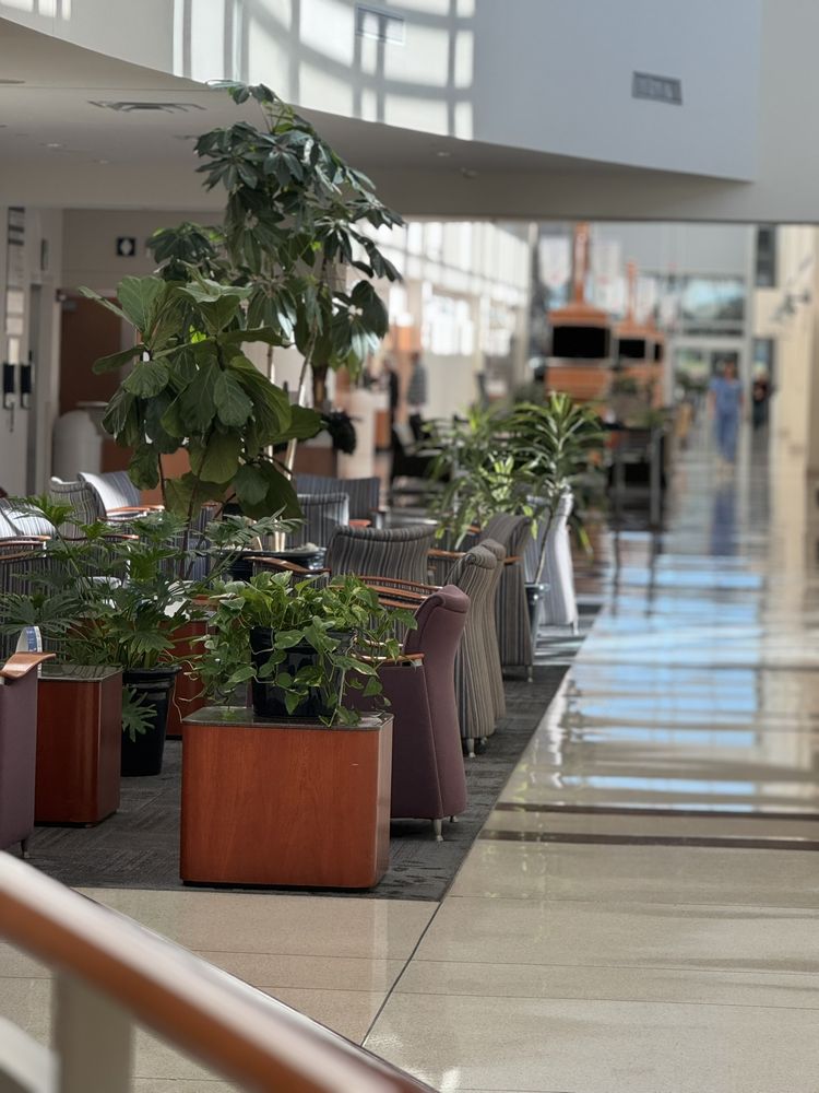 USMD HOSPITAL AT ARLINGTON - Updated December 2025 - 28 Photos & 78 ...