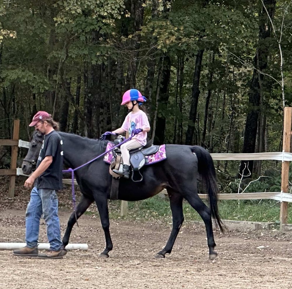 DAYDREAM STABLES - Updated January 2026 - 28 Photos - 23 Graff Rd ...