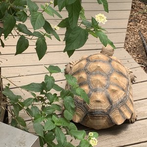 MOON FARM - Updated July 2025 - 31 Photos - 1360 18 1/2 Rd, Fruita ...