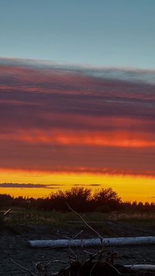 CENTENNIAL BEACH - BOUNDARY BAY REGIONAL PARK - Updated December 2025 ...