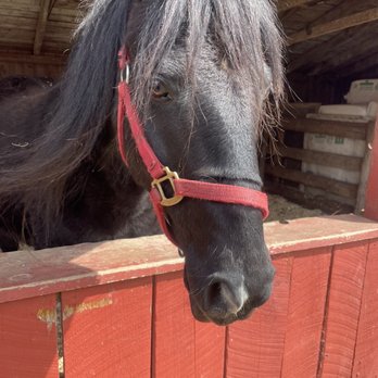 FLAMIG FARM - Updated November 2025 - 393 Photos & 73 Reviews - 7 ...