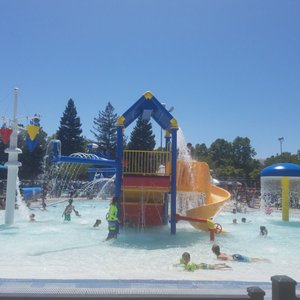 SAN RAMON OLYMPIC POOL & AQUATIC PARK - 85 Photos & 107 Reviews ...