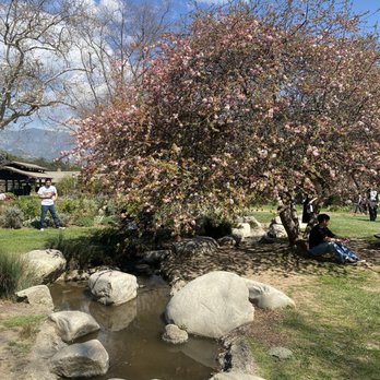 DESCANSO GARDENS - Updated July 2024 - 10535 Photos & 1909 Reviews ...