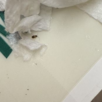 UNIVERSITY COMMONS - Updated January 2026 - 47 Photos & 15 Real Reviews ...