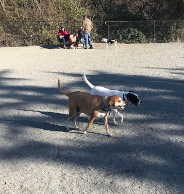 BARON CAMERON DOG PARK - Updated July 2025 - 56 Photos & 57 Reviews ...