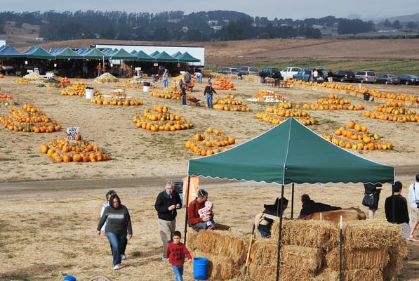 SPRING HILL FARM - Updated October 2025 - 18 Photos & 14 Reviews - 4235 ...