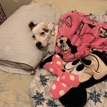 HYDRANT HOTEL - Updated December 2025 - 37 Photos & 16 Reviews - 845 ...