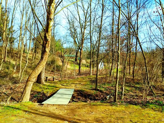 BINKY LEE PRESERVE - NATURAL LANDS - Updated July 2025 - 40 Photos ...