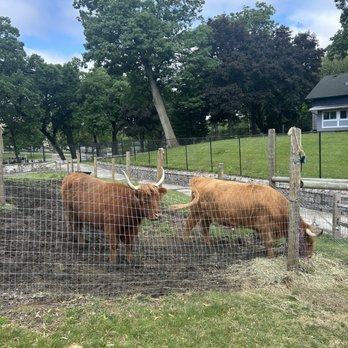 PHILLIPS PARK ZOO - Updated August 2025 - 245 Photos & 103 Reviews ...