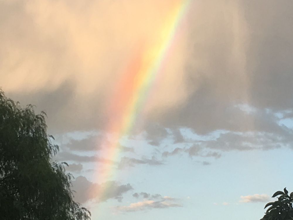 CITY OF WALNUT - HIKING TRAILS - Updated December 2024 - 75 Photos & 10 ...