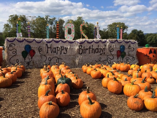 JUMBO’S PUMPKIN PATCH - Updated November 2025 - 60 Photos & 32 Reviews ...