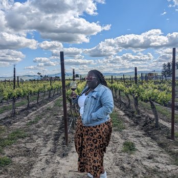 SK HIRA VINEYARDS - Updated October 2025 - 60 Photos & 26 Reviews - 8458 W Linne Rd, Tracy ...
