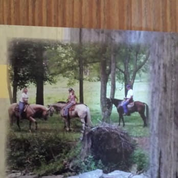 MISTY RIDGE FARM - Updated October 2025 - 43 Photos - 5210 Owl Creek Rd ...