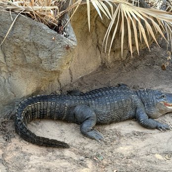 ALEXANDRIA ZOOLOGICAL PARK - Updated October 2025 - 94 Photos & 39 ...