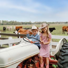 BLOSSOM & BRIE - Updated October 2025 - 187 Photos & 84 Reviews - 8250 ...