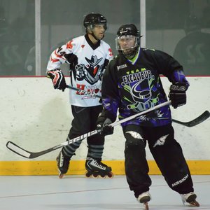 AZ ICE PEORIA - Updated January 2026 - 76 Photos & 84 Reviews - 15829 N ...