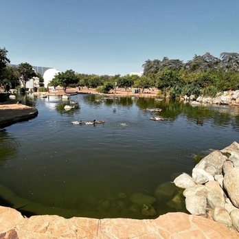 CSUN POND - Updated January 2026 - 343 Photos & 87 Reviews - 18111 ...
