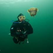 SEATTLE DIVE TOURS | 58 Photos & 23 Reviews | 4217 SW Admiral Way ...