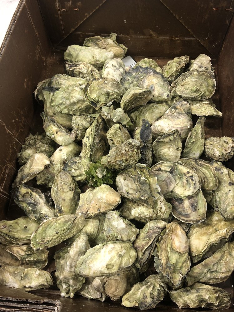 LOS ANGELES FISH COMPANY - Updated September 2024 - 165 Photos & 105 ...