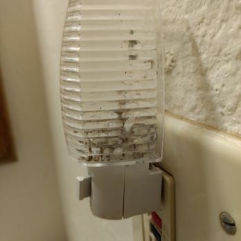 CARSON RIVER RESORT - Updated October 2024 - 82 Photos & 39 Reviews ...