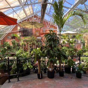 BRIGGS NURSERY - 120 Photos & 53 Reviews - 295 Kelley Blvd, North ...