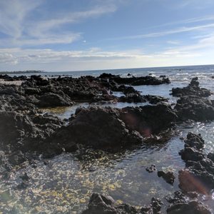 Puako Bay Beach - 26 Photos - Beaches - Puako Beach Dr, Puako, HI - Yelp