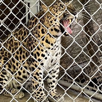 ZOOLOGICAL WILDLIFE FOUNDATION - Zoo - 16225 SW 172nd Ave, Miami ...