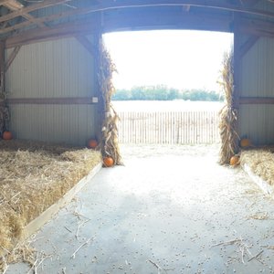 HANOVER VEGETABLE FARM - 40 Photos & 18 Reviews - 13580 Ashland Rd ...