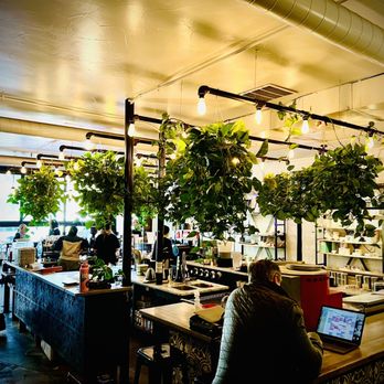 AVIANO COFFEE - Updated May 2024 - 468 Photos & 588 Reviews - 244 ...