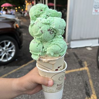 NELSON’S ICE CREAM - Updated July 2024 - 145 Photos & 172 Reviews - 454 ...
