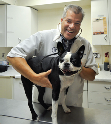 LAYTON VETERINARY HOSPITAL - Updated January 2026 - 11 Reviews - 1538 N ...