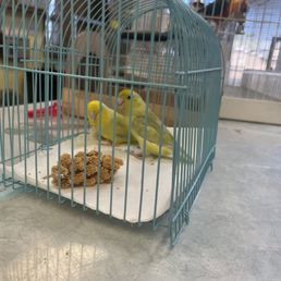 MAGNOLIA BIRD FARM - Updated December 2025 - 152 Photos & 212 Reviews ...