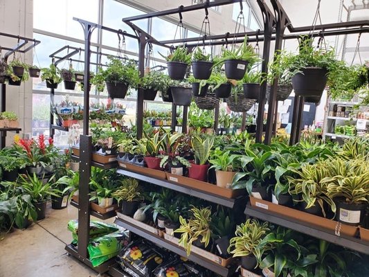 LOWE’S HOME IMPROVEMENT - Updated January 2026 - 15 Photos - 940 N ...