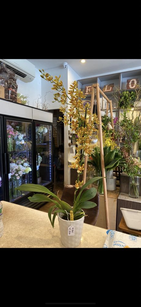 SHU’S FLOWERS - Updated September 2025 - 167 Photos & 69 Reviews - 179 ...