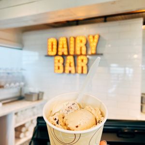 ALLIE’S DONUTS | 331 Photos & 497 Reviews | 3663 Quaker Ln, North ...