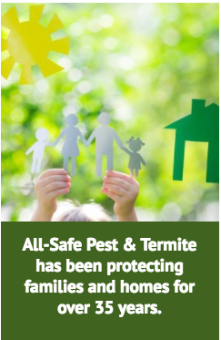 ALL-SAFE PEST & TERMITE - Updated October 2025 - 77 Photos & 95 Reviews ...