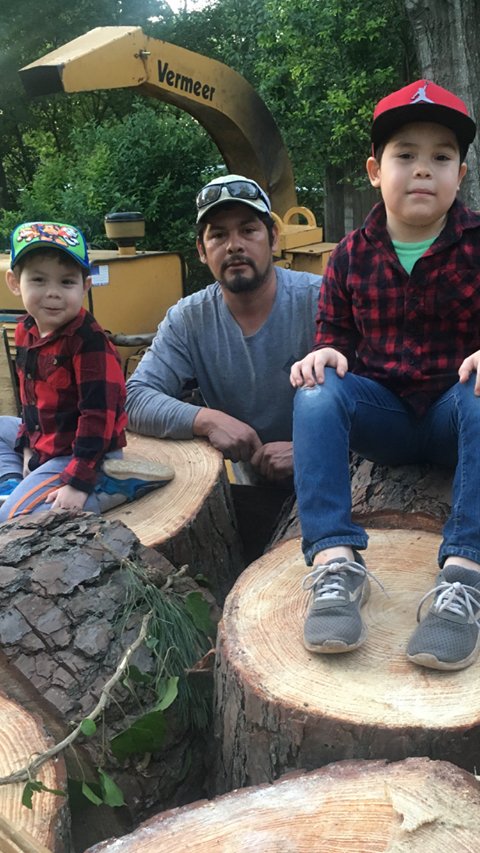 TRIPLE J TREE SERVICE - 12 Photos & 10 Reviews - Tyler, Texas - Tree ...