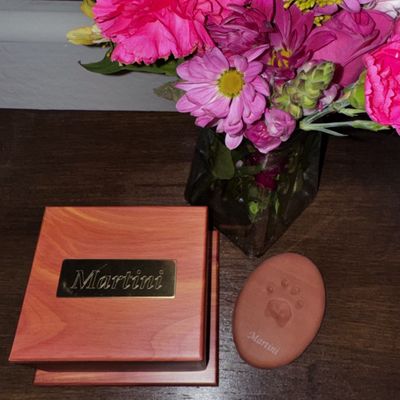 LASTING PAWS PET MEMORIAL SERVICES - Updated November 2025 - 22 Photos ...