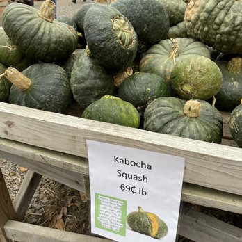 STYER ORCHARD - Updated November 2025 - 90 Photos & 60 Reviews - 97 ...