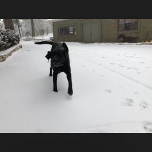 PEAK LEGACY RANCH - Updated December 2025 - Request Information - 17925 ...