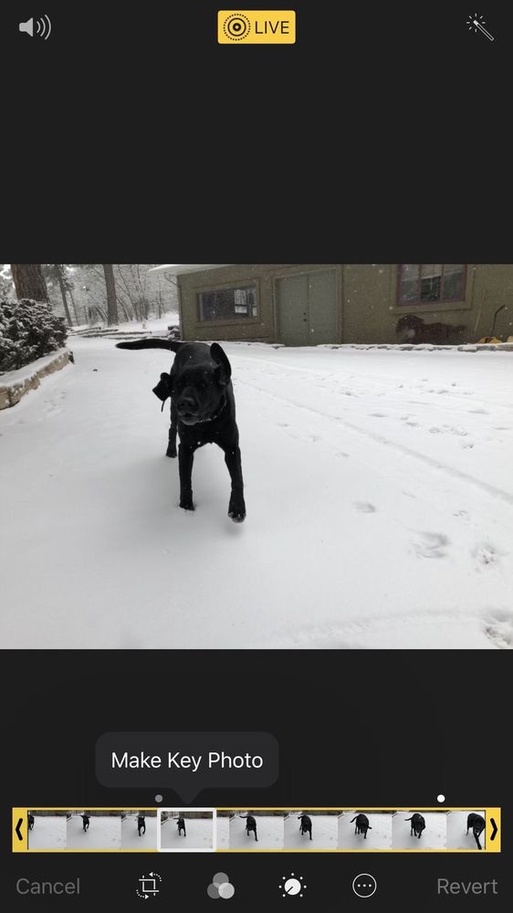 DOUBLE D DOG RANCH - Updated June 2024 - Colorado Springs, Colorado ...